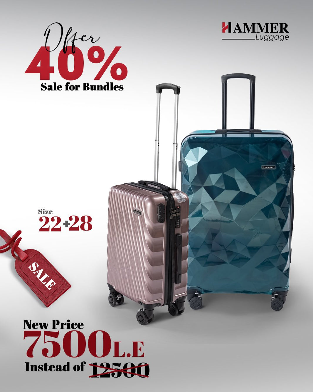 Hammer luggage